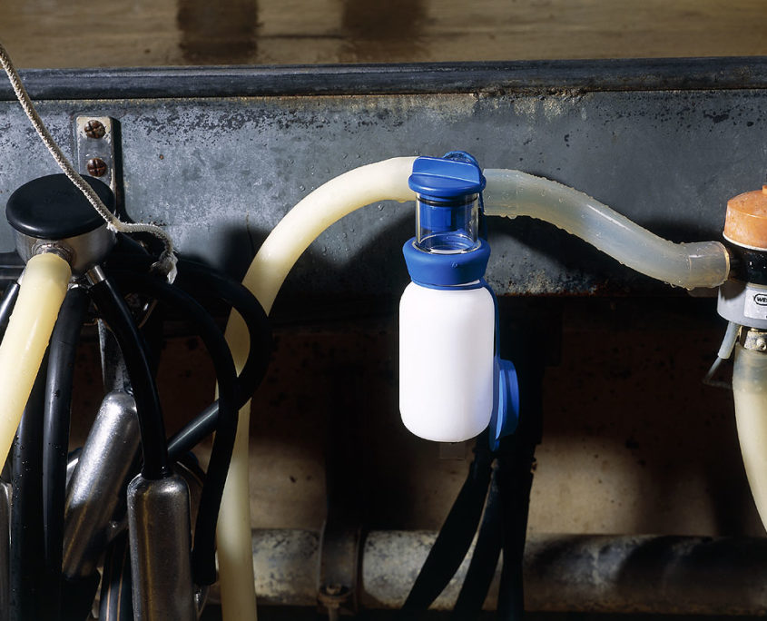 Individual Cow Milk Sampling | AMBIC Equipment Ltd UK