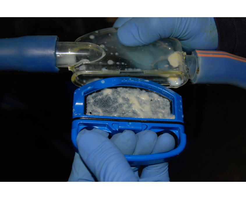 Image Gallery: Mastitis Detection | Vision 16 Mastitis Detection ...