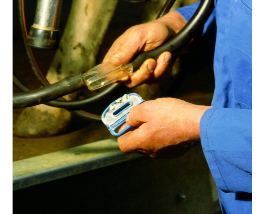 Image Gallery: Mastitis Detection | Vision 16 Mastitis Detection ...